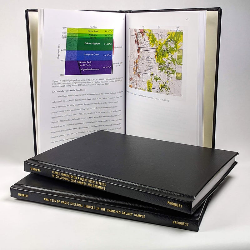 Dissertations Express Copy Option Pricing